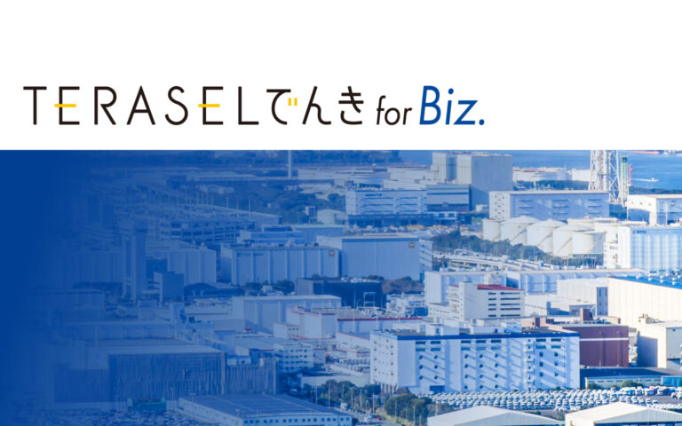 TERASEL でんき for Biz｜株式会社Revisionの制作事例｜栃木県宇都宮市のWebマーケティング会社